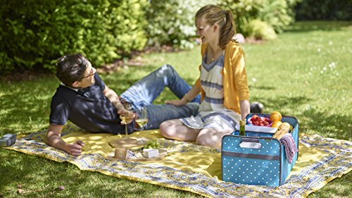 meori Hibiscus Red/Dots Foldable Box Large wipeable Solid Space-Saving Outdoor Lake Beach Weekend Shopping Transport Storage, 1-Pack