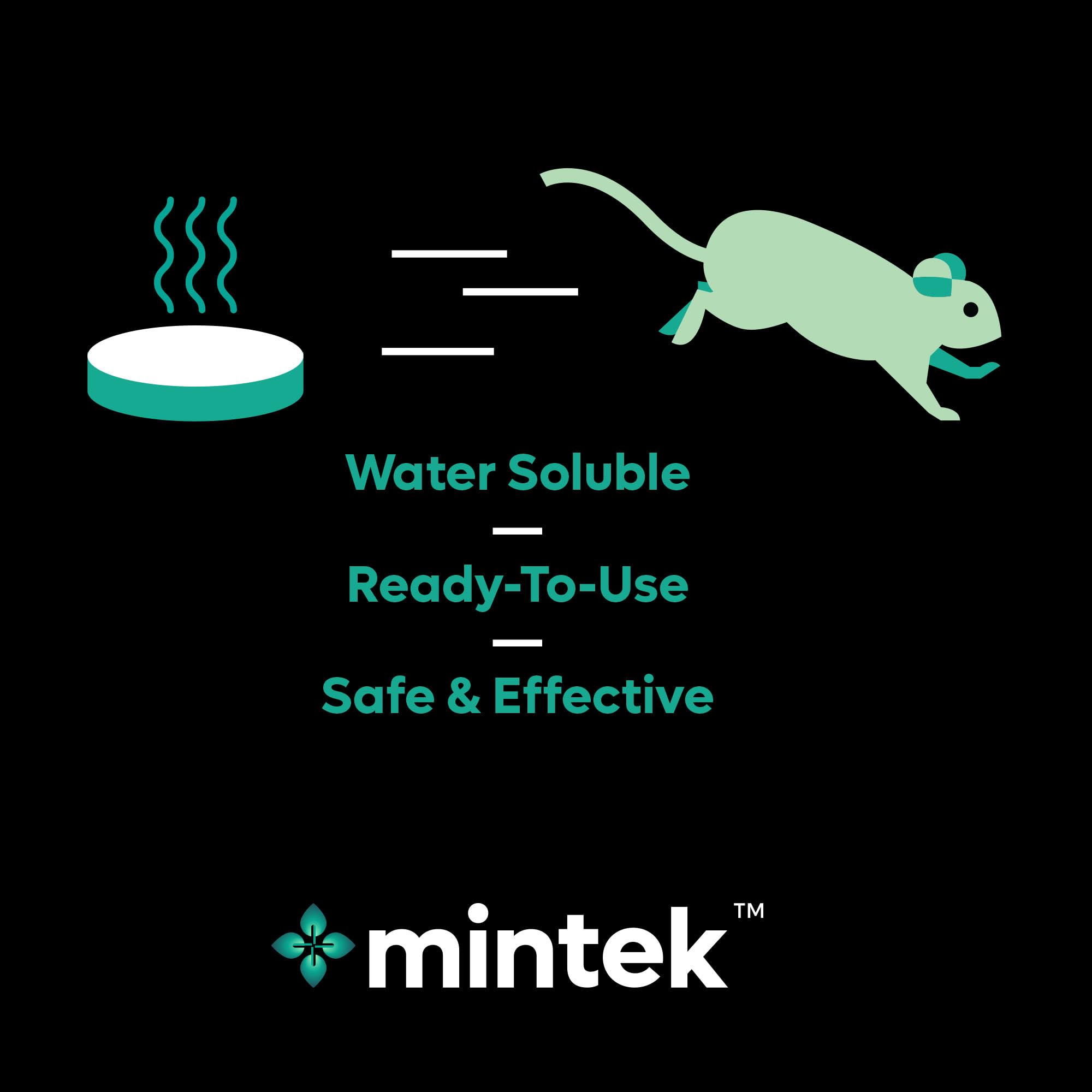 Mintek™ EZ Disk (2-Pack)