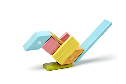 Tegu 14 Piece Magnetic Wooden Block Set in Tints