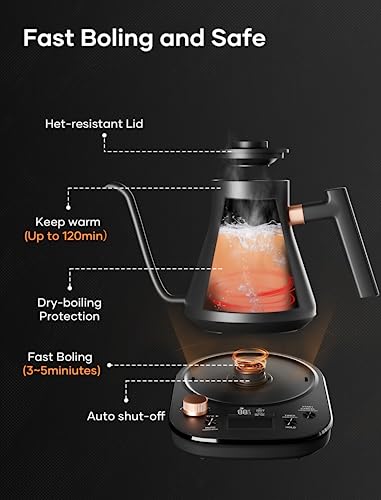 INTASTING Electric Kettle, Electric Tea Kettle with LCD Display, ±1℉ Temperature Control Gooseneck Electric Kettle, Auto Shut-Off/Keep Warm/Brew Timer, Quick Heating Hot Water Kettle Electric, 0.9L