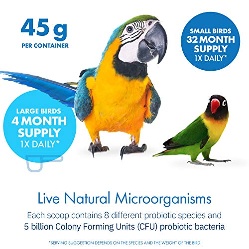 HealthyGut™ Avian Probiotics Dietary Supplement for Parrots, All-Natural Digestive System Formula (120 Servings)