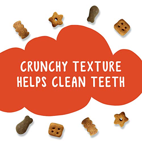 Friskies Party Mix Crunch Variety Pack (6 Fun Flavors 2.1 oz each) - Picnic, Beachside, Cheezy Craze, Original, California Dreamin', and Meow Luau