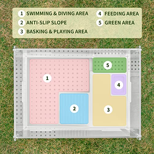 BETAZOOER Turtle Tank with Adjustable Water Pump Filter, Full View Visually Tortoise Aquarium Habitat, Easy Changing Water and Clean for Small Amphibious Creatures Reptiles (15.7×11.8×10Inch)