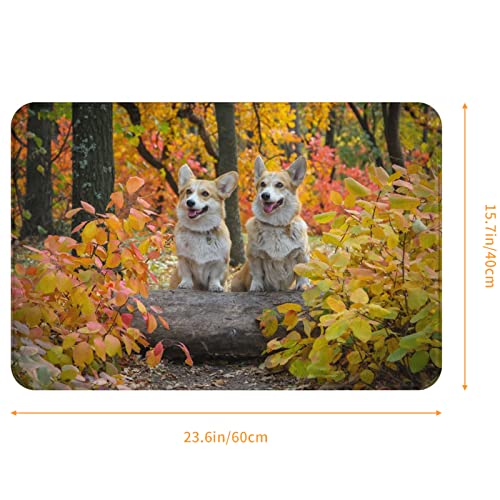 Custom Rug Personalized Decor Mat 15.7x23.6 inch, Customize Your Own Picture and Print Text, Modern Carpet for Home Decoration Area Rug