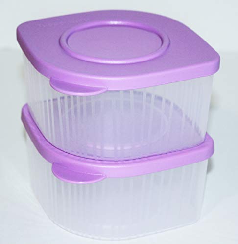 Tupperware Fresh N Cool 2 Cup Set of 2 in Sheer and Daisy Purple