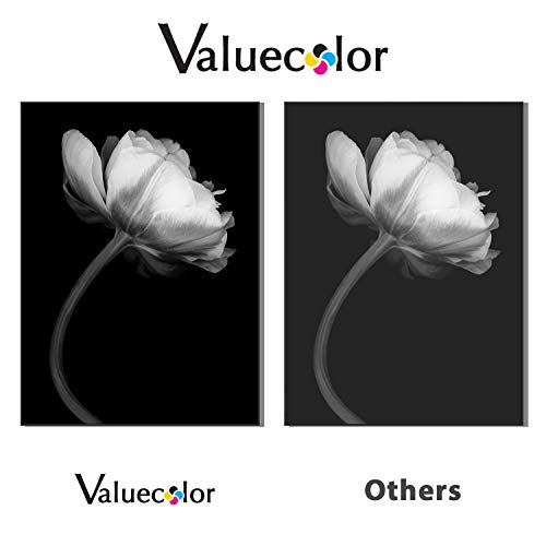 Valuecolor Compatible Toner Cartridge Replacement for Canon 137 crg137 Used in Canon ImageClass MF216N MF227DW MF229DW MF212W MF217W MF249dw MF244dw LBP151dw MF236n MF247dw (2 Black)