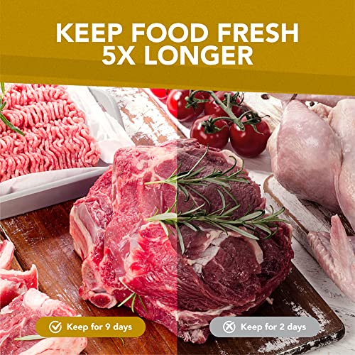 HOMARK Vacuum Sealer Machine, Digital Display Smart Function Household 80 kPa Food Saver Vacuum Sealer with Tempered Glass Surface, Dry Moist Mode, Includes 10 Vacuum Bags 6βx10β, 3 Food Modes,2 Pump Speed, Lab Tested