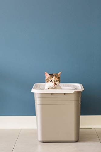 Petmate Top Entry Litter Cat Litter Box With Filter Lid To Clean Paws