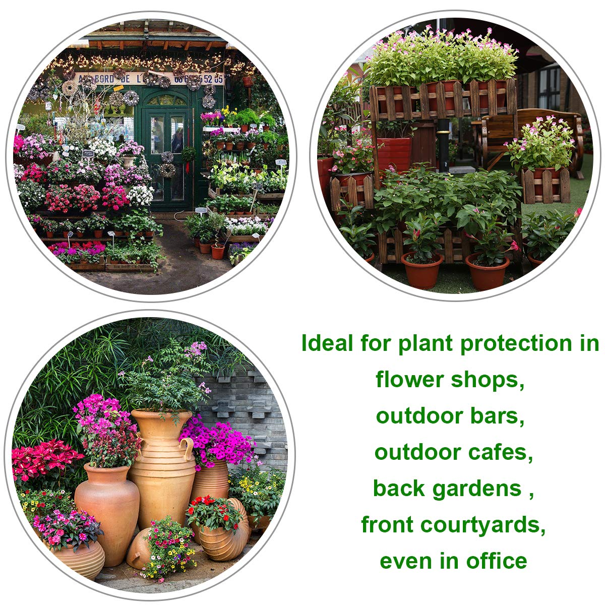Blue_Stone Plant Covers Frost Protection Bag Winter Reusable Plants Jacket with 3 Style 3 Pack 23" x 31" 2 Pack 39" x 39" 1 Pack 70" x 63" (2 Pcs 39" x 39")