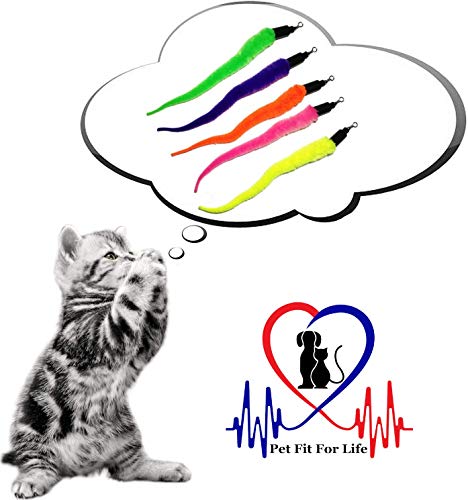 Pet Fit For Life Cat Wand Toy: 5-Piece Worm Teaser & Exerciser - Durable Flirt Pole/Cat Teaser Toy β Interactive Fun for Feline Fitness