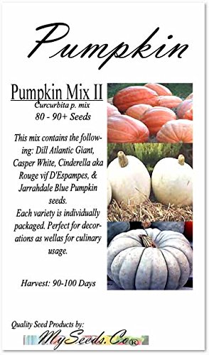 Big Pack (80-90+) Dill Atlantic Giant, Casper White, Cinderella Rouge VIF D'Etampes, & Jarrahdale Blue Pumpkin Seeds - Non-GMO Seeds by MySeeds.Co (Big Pack - Pumpkin Mix II)