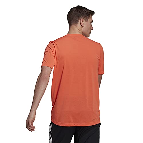 adidas mens Designed to Move FEEL.RDY T-Shirt True Orange/Black Large