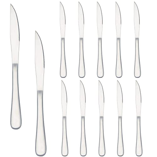 DAFU Stainless Steel Dinner Knives Silverware Cutlery Table Knives Mirror Polished Dishwasher Safe - Pack of 12 ïŒSilver 9 InchesïŒ