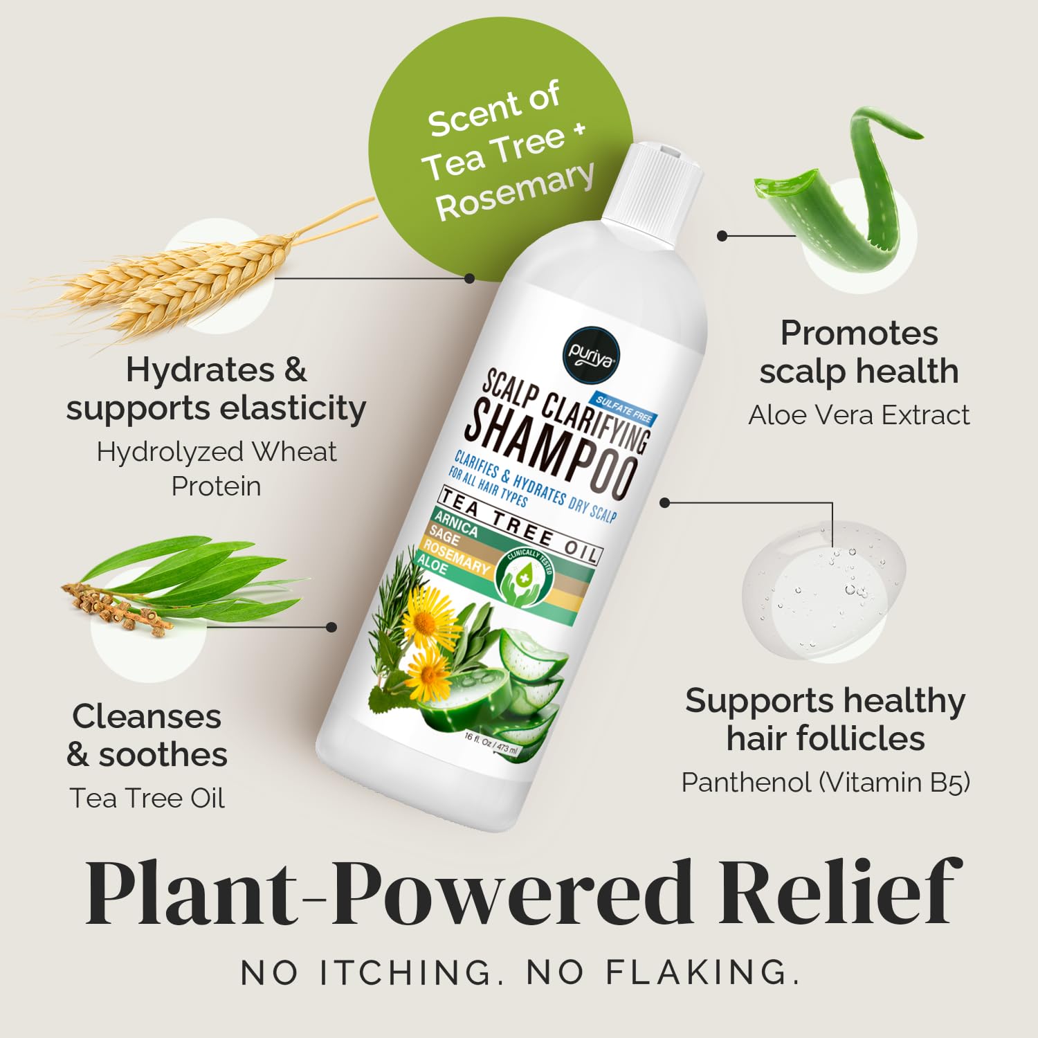 Puriya Tea Tree Clarifying Shampoo. Plant Rich Dry Itchy Scalp Relief, for Kids, Adults, Sulfate Free, No Harsh Chemicals Seen in Dandruff Treatment, Seborrheic Dermatitis, Psoriasis Shampoo, 16 oz
