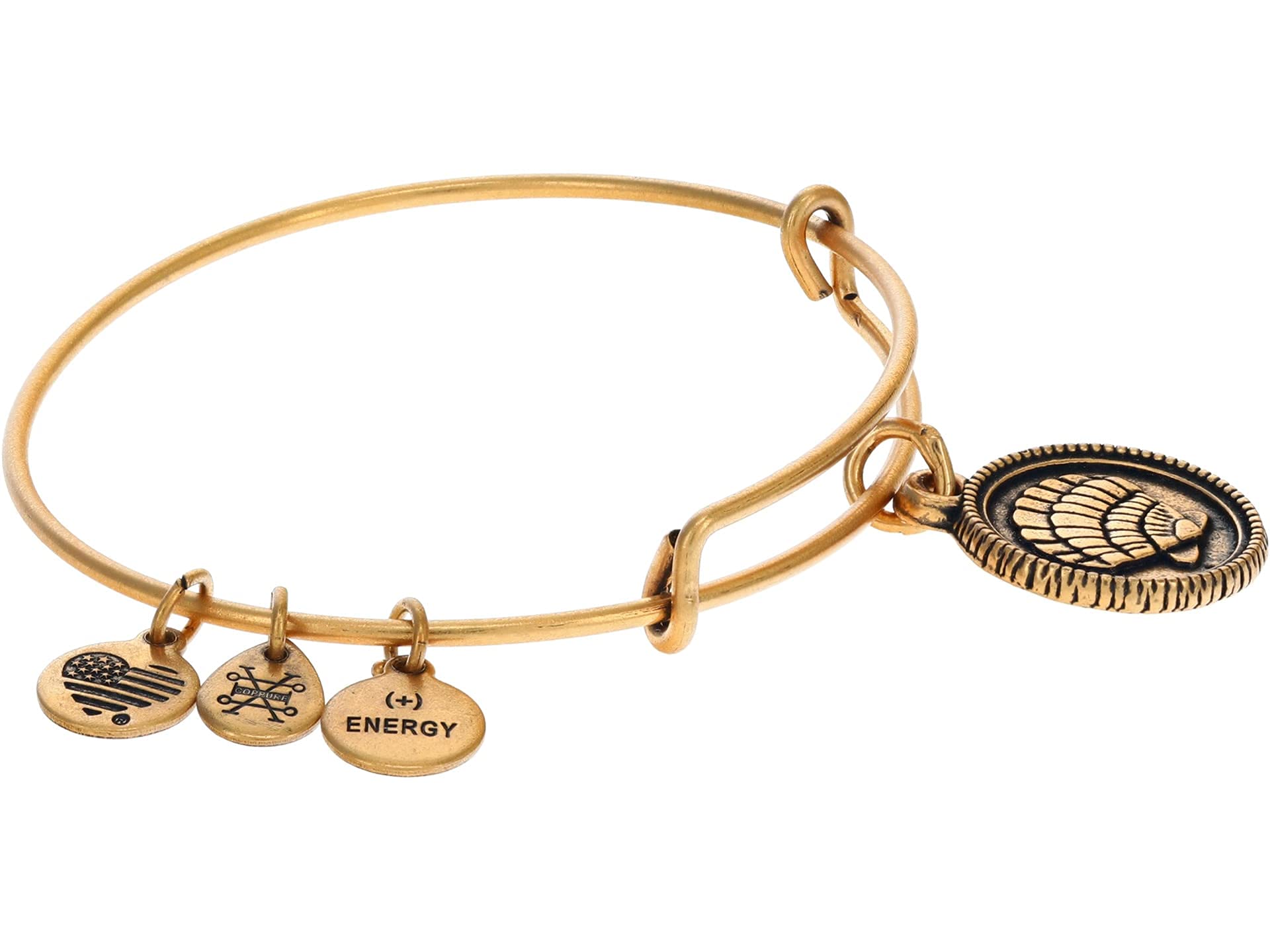 Alex and Ani Path of Symbols Expandable Bangle for Women, Seashell Charm, Rafaelian Gold Finish, 2 to 3.5 in, One Size (A21EBSSRG)