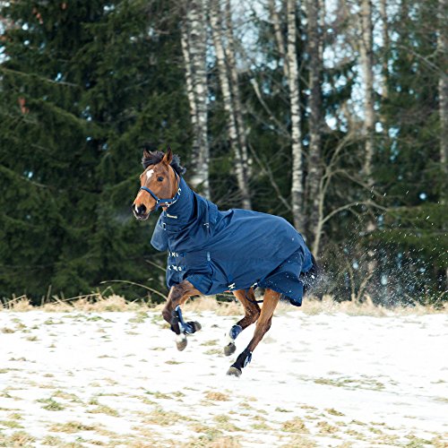 HORZE Crescendo Holbrook Heavy Turnout Blanket, 400gs, Peacoat Dark Blue - 69