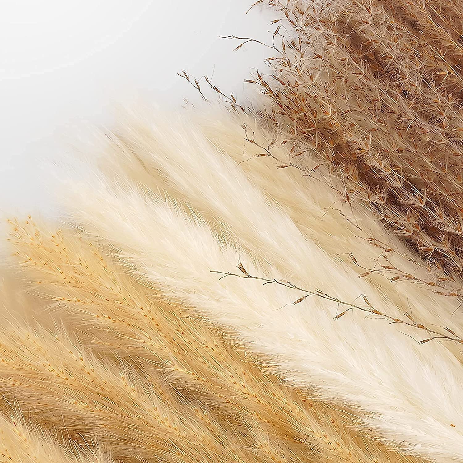 EVOLUX Pampas Grass Decor,60 Pcs Natural Dried Pampas Grass|15 Pcs White & 15 Pcs Beige & 30 Pcs Reed Grass,17" Pompas Grass for Flowers Arrangement Home Garden Wedding Decor