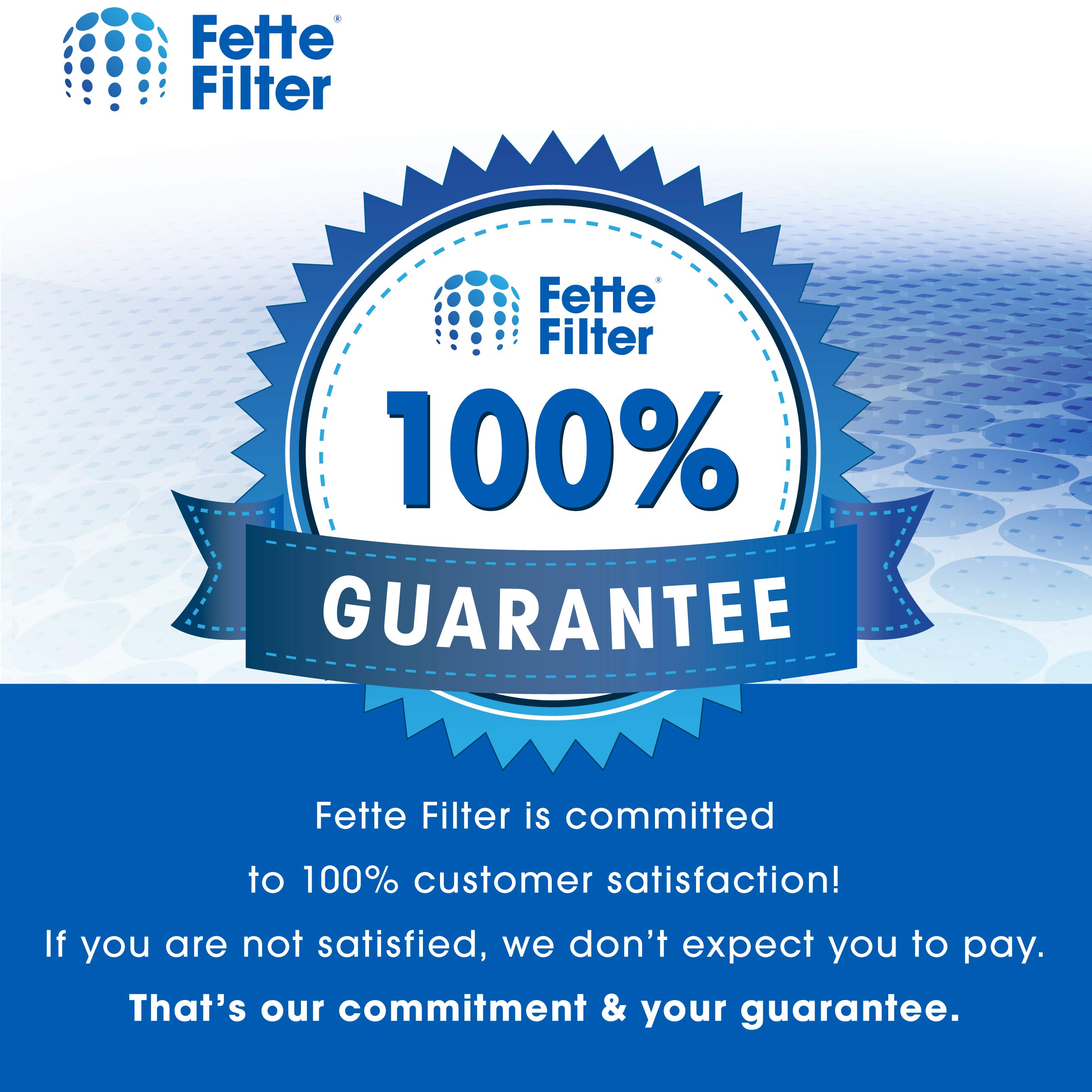 Fette Filter - 4-in-1 High-Efficiency Replacement Filters (pack of 2) Compatible with PURO²XYGEN Air Purifier P500 with True HEPA Filter, Activated Carbon Filter - Pack of 2