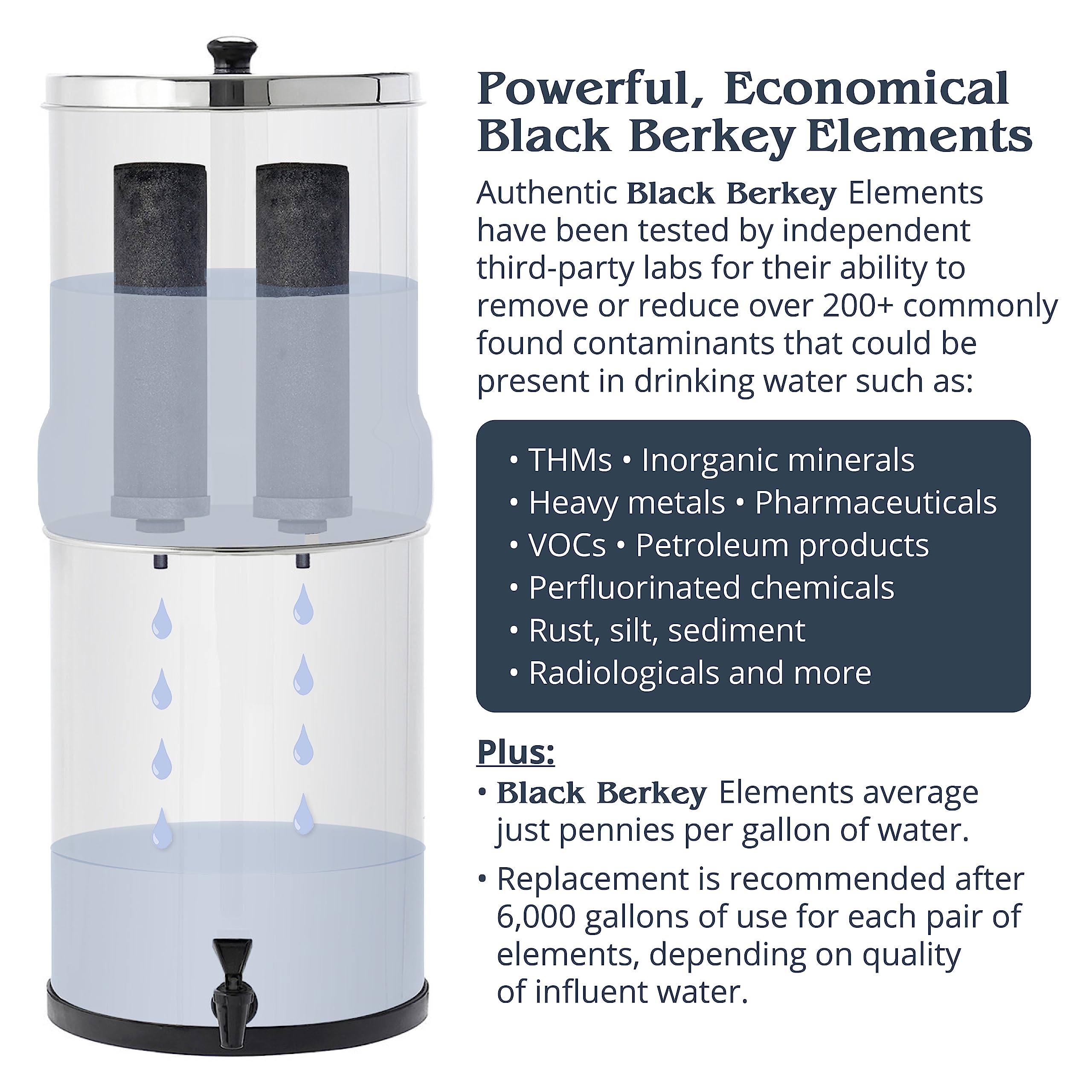 Big Berkey Gravity-Fed Stainless Steel Countertop Water Filter System 2.25 Gallon with 2 Authentic Black Berkey Elements BB9-2 Filters