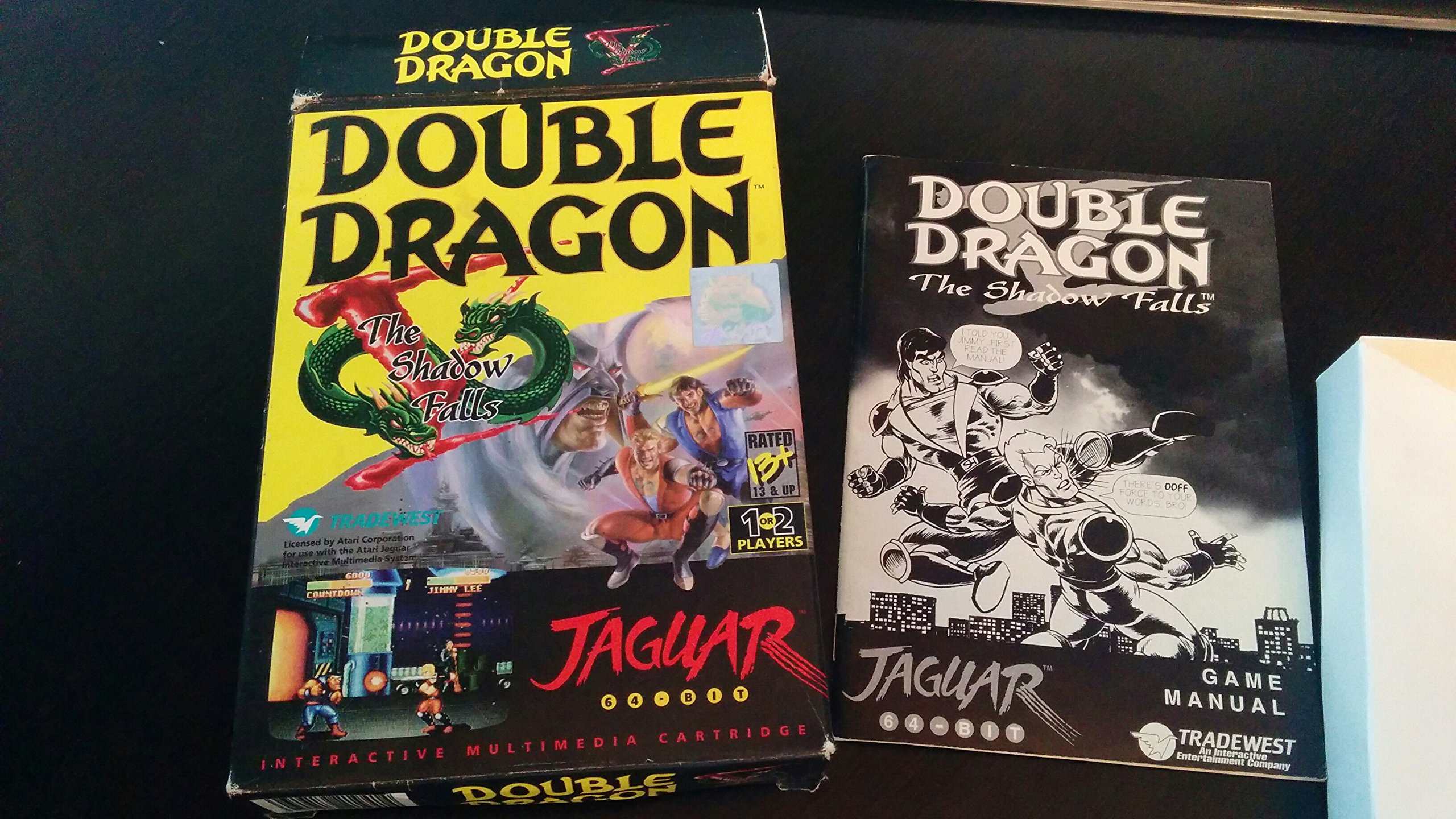 Double Dragon 5: The Shadow Falls
