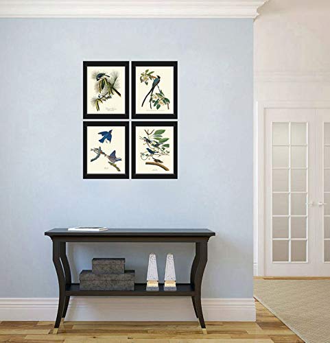 Bird Print Wall Art Set of 4 Prints Beautiful James Audubon Titmouth Fork-tailed Flycatcher Blue Bird Bluebirds Indigo Bird on Pine Tree Blooming Magnolia Flower Home Room Decor Unframed