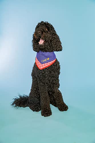 Doggy Parton Blue Printed Denim & Gingham Print Bandana for Pets, X-Small/Small (22120719)
