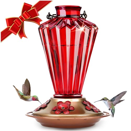 BOLITE Hummingbird Feeder, 18017R Hummingbird Feeders for Outdoors Hanging, Diamond Shape Bottle for Outside, 20 Ounces, Red, Xmas Gifts for Bird Lovers