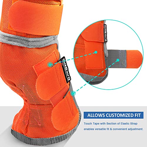 Harrison Howard Horse Fly Boots Perfect Contoured Fit Leg Guards Dense Mesh Boots with Ventilated Comfort Reliable Protection from Summer Elements Set of 4 Vibrant Orange L