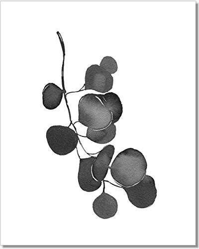 Black And White Wall Art - Eucalyptus Leaves - Botanical Art Prints - Minimalist Pictures - Set of 3-8x10 - Unframed