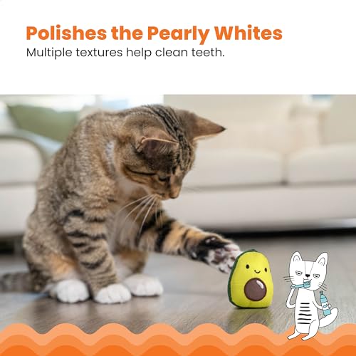 Catstages Lil' Avocato Dental Health Catnip Cat Chew Toy