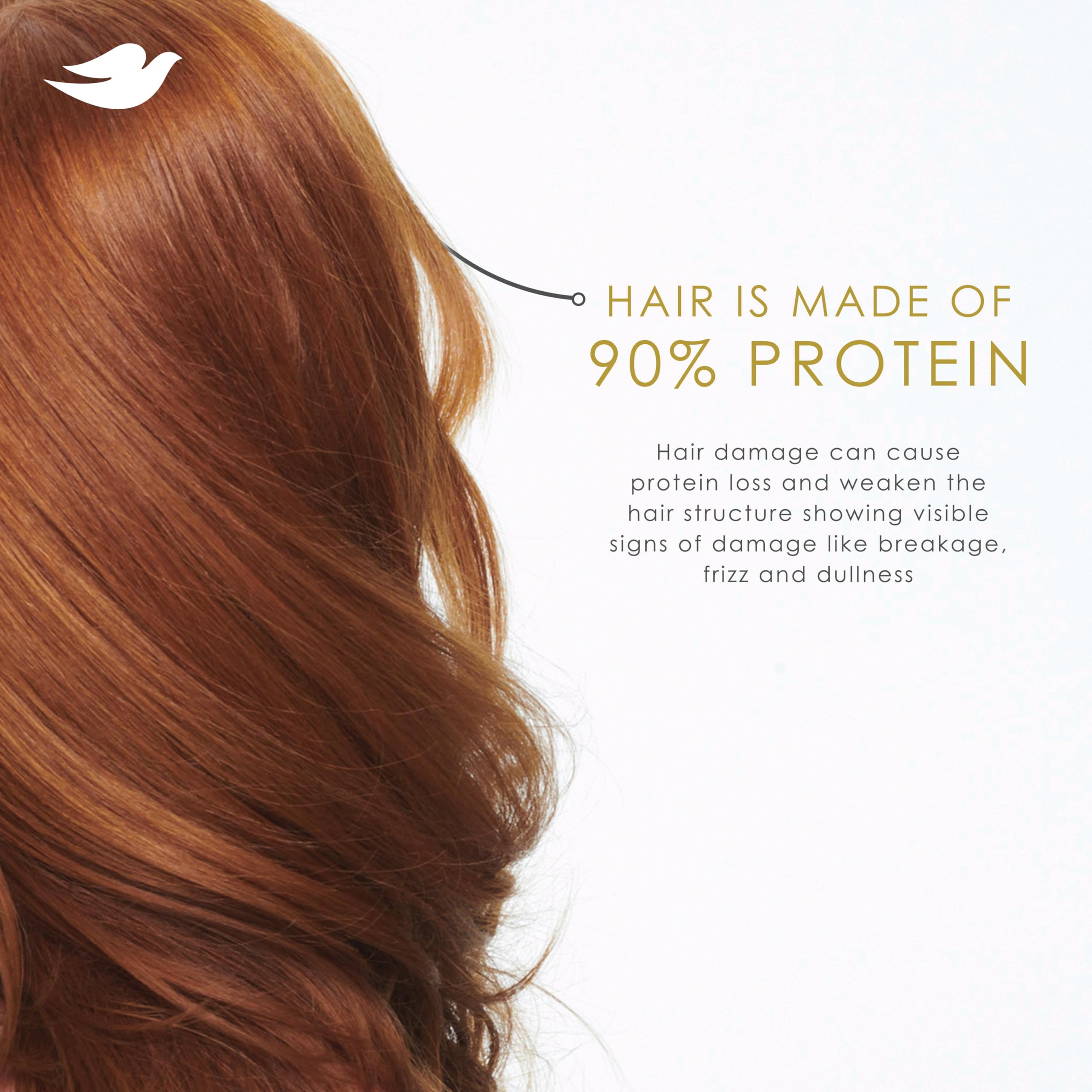 Dove Shampoo Intensive Repair for Damaged Hair with Bio-Protein Care Technology and Amino Serum 12 Fl Oz