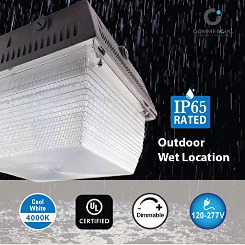 Commercial Lighting Technologies CLT 60W Waterproof IP65 LED Outdoor Canopy Garage Light 4000K
