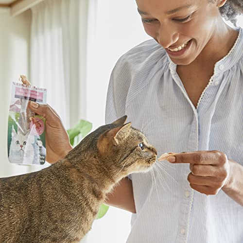 INABA Natural, Premium Hand-Cut Grilled Chicken Fillet Cat Treats/Topper/Complement with Vitamin E and Green Tea Extract, 0.9 Ounces Each, Pack of 10, Variety Pack