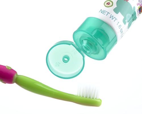 Dr. Talbot's Toddler Training Toothpaste Naturally Inspired with Citroganix, with Toothbrush Included, Pink/Green, 1.6 Ounce