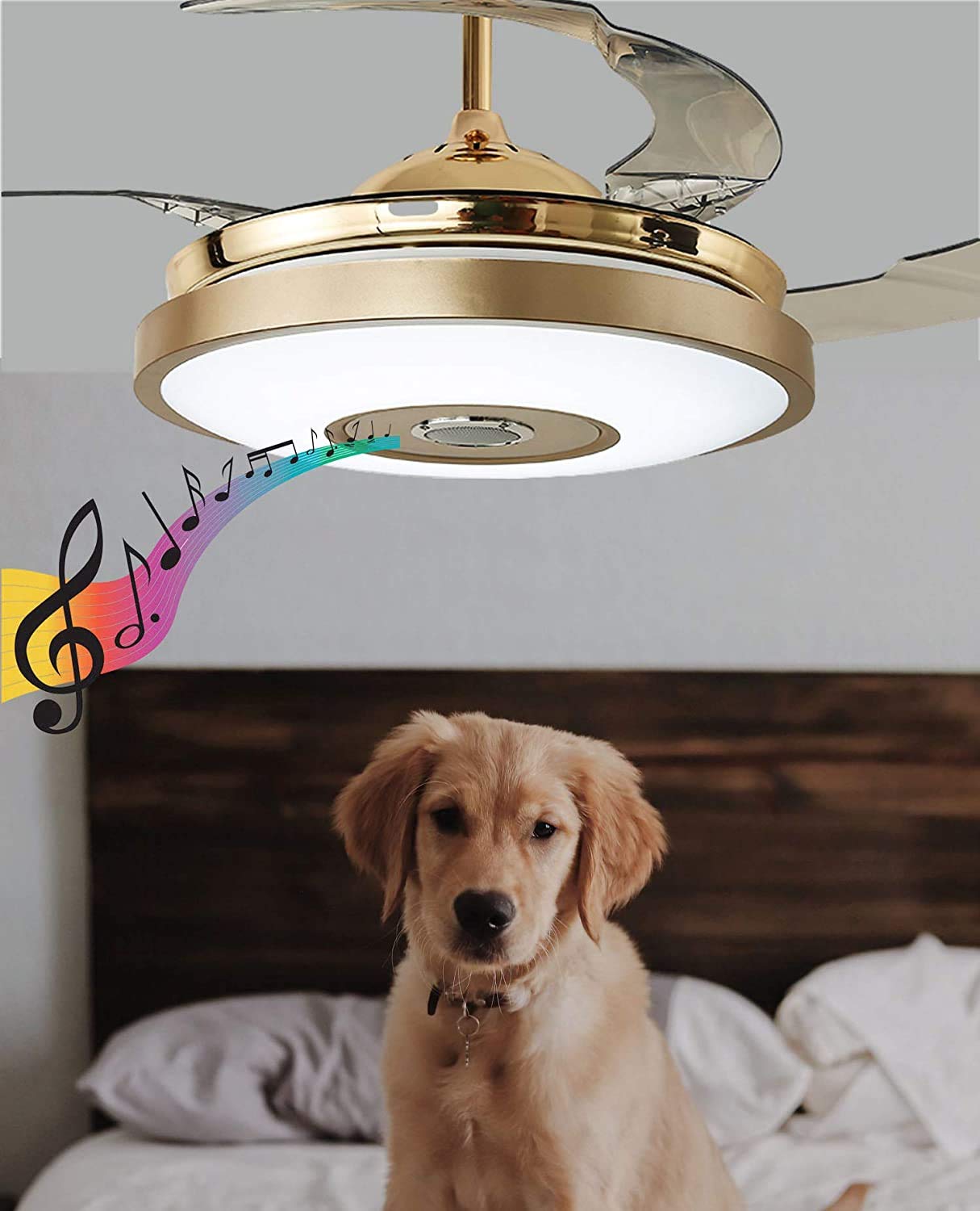AFANQI 36" Modern Smart Bluetooth Music Player Ceiling Fan With Light, With Remote Control Dimmable 7 Colors 3 Speed Stealth Blade LED Silent Motor Ceiling Fans (36-style 2)