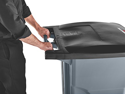 Rubbermaid Commercial Products BRUTE Rollout Step On Trash/Garbage Can with Casters - 32 Gallon - Gray