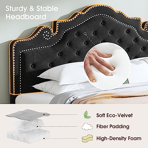 WEEWAY Queen Bed Frame with Velvet Tiara Curved Headboard and High Resilience, Upholstered Diamond Button Tufted Platform Bed with Wood Slats/No Box Spring Needed/Easy Assembly/Black