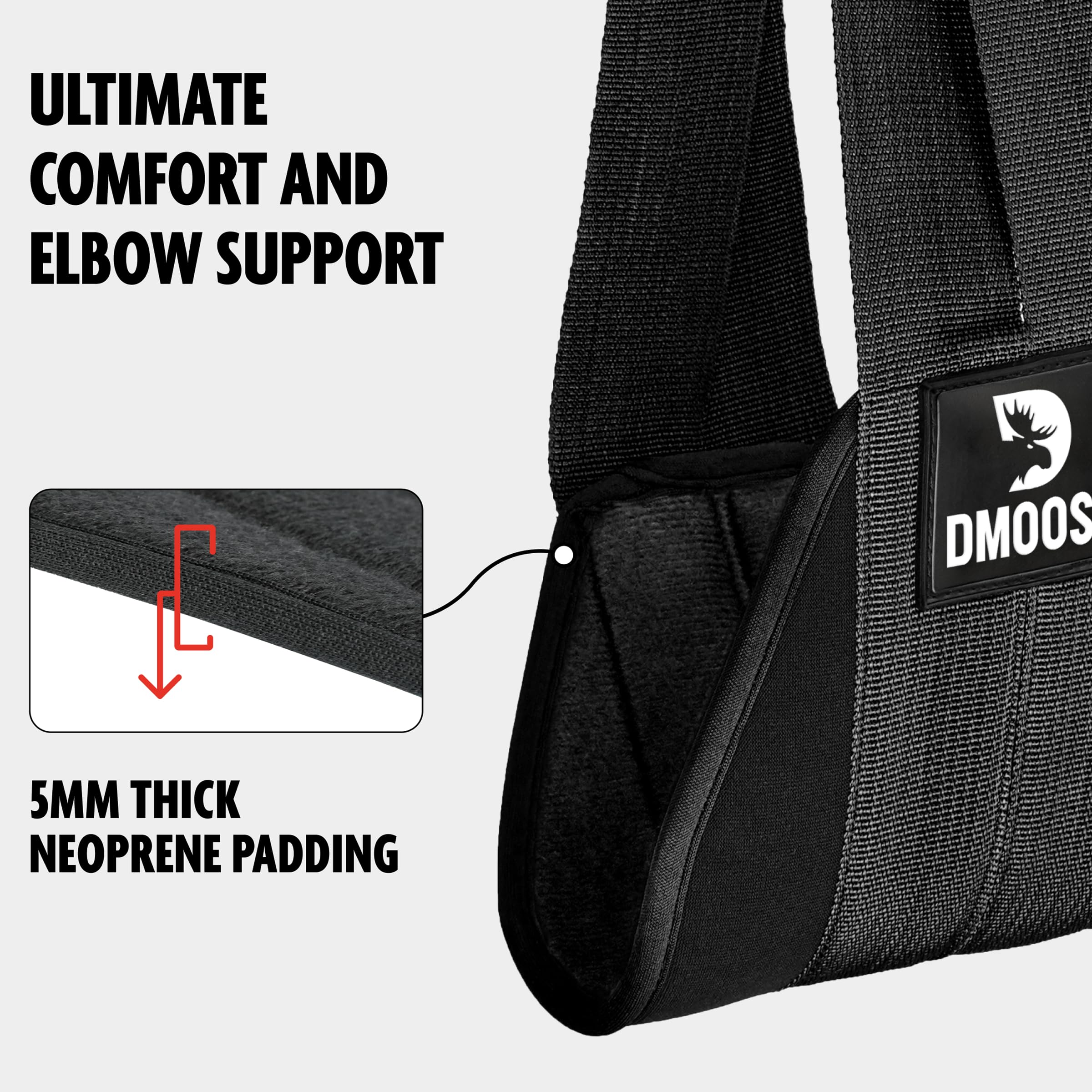 DMoose Fitness Hanging Ab Straps for Pull Up Bar & Core Strength Training - Thick Padded Arm Strap for Ab Swing with 2 Rust-Resistant Carabiners - Pull Up Straps for Ab Workouts at Home and Gym (Pair)