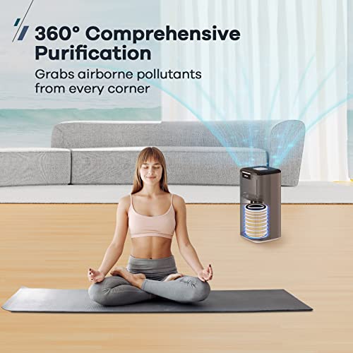 Welov P200S Air Purifiers for Home Large Room with An Extra H13 True HEPA Pet Care Filter Bundle