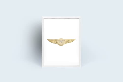 Drone Pilot Flight Wings License Qualification UAV Flying Silver Gold - A 192