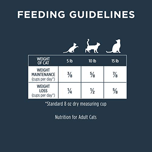 Instinct Raw Boost Healthy Weight Grain Free Recipe with Real Chicken Natural Dry Cat Food, 10 lb. Bag