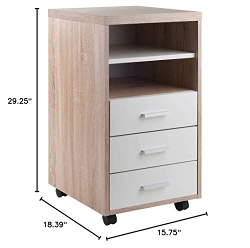 Winsome Wood Kenner Home Office, Reclaimed Wood