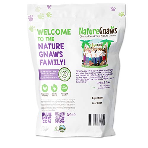 Nature Gnaws Beef Jerky Chews for Small Dogs - Premium Natural Beef Gullet Sticks - Simple Single Ingredient Tasty Dog Chew Treats - Rawhide Free - 4-5 Inch (20 Count)