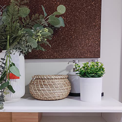 Denture Bath, Invisible Denture Case Designed As Artificial Eucalyptus Potted Plants, Denture Cup With Strainer For Retainer, Mouth Guard & Dentures, Perfect For Home Decorationā¦