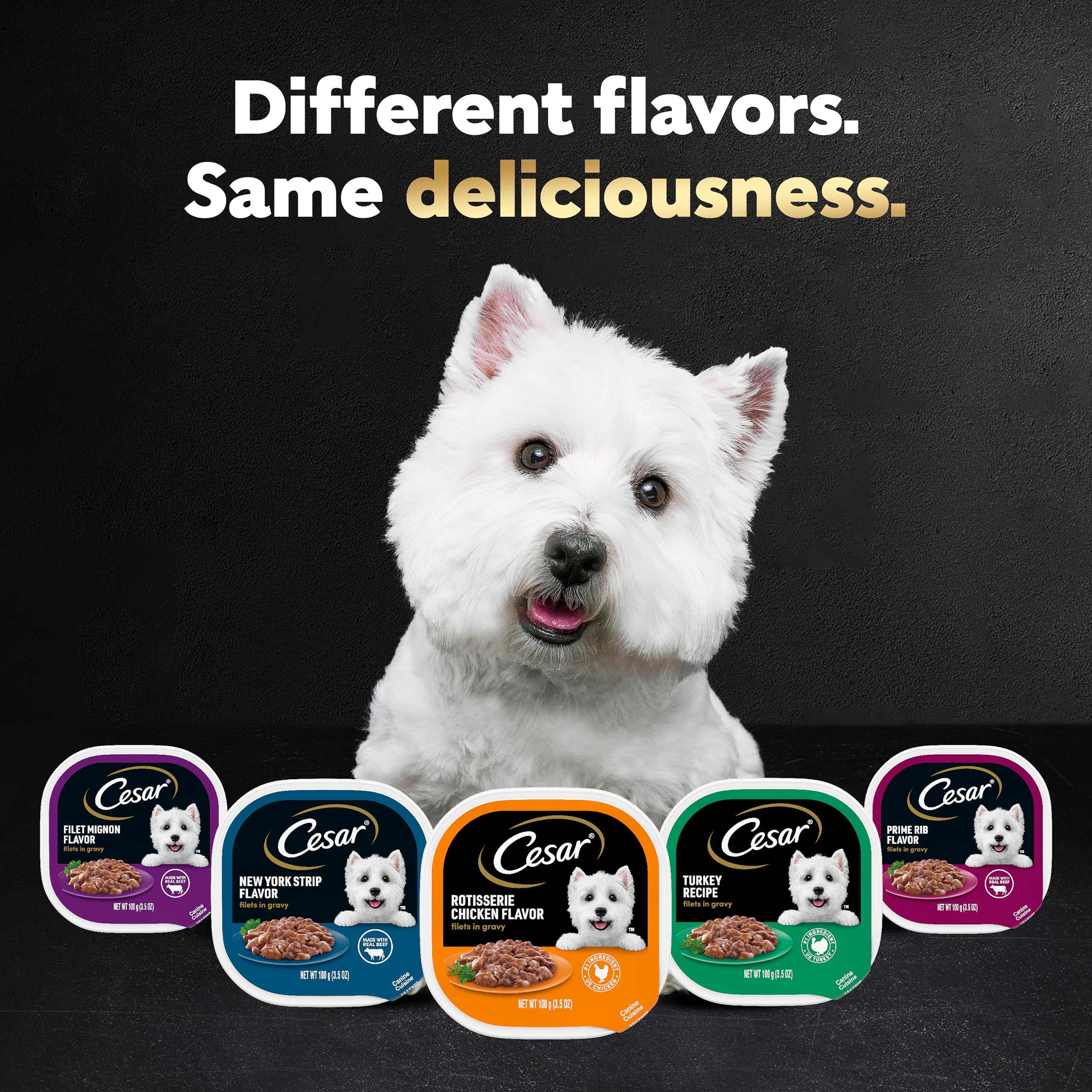 CESAR Soft Wet Dog Food Filets in Gravy Turkey Recipe, (24) 3.5 oz. Easy Peel Trays