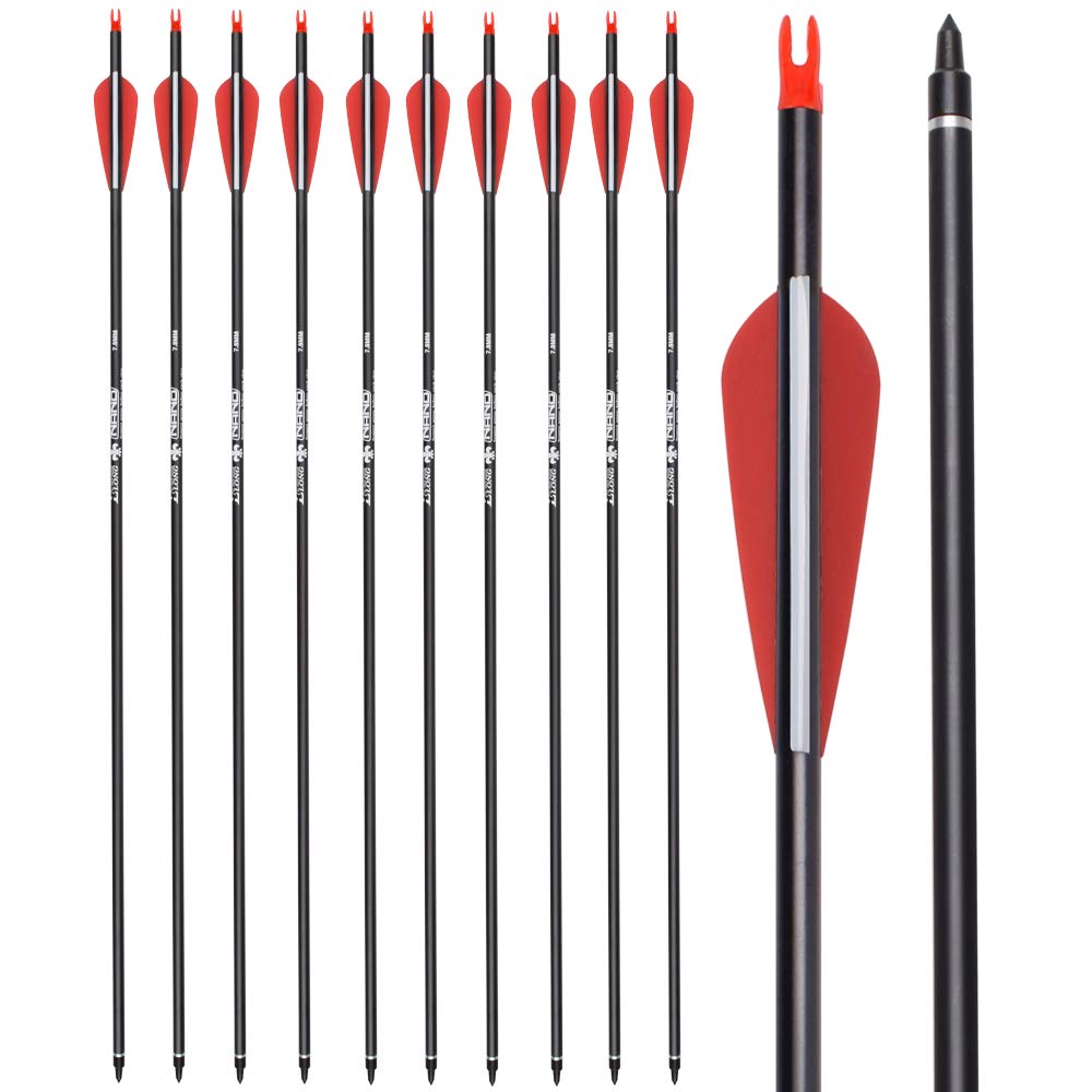Archery Carbon Arrow Hunting Target Practice Arrows 28 Inch with Removable Tips for Compound & Recurve Bow Spine 500 12PCS