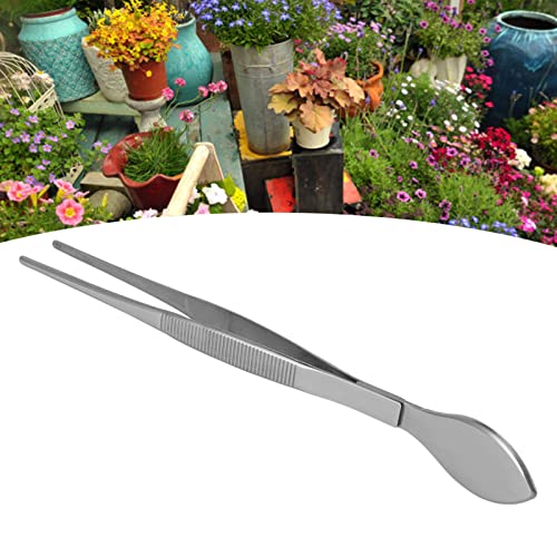 Bonsai Tweezers, Straight Tip Picking Up Sprigs Easy Maintenance Bonsai Spatula Tweezers Removing Moss for Courtyard