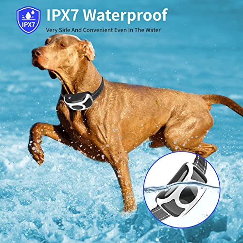 Brapezie No Shock Dog Training Collar, 2000ft Range Vibrating Dog Collar, IPX7 Waterproof Dog Vibration Collar, No Prongs and No Shock, only Sound and Vibration Collar for Training Dogs