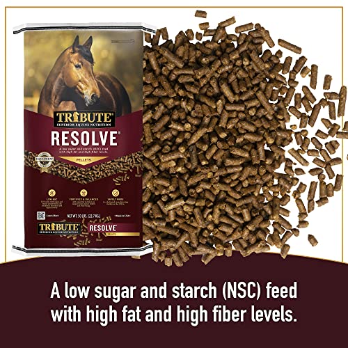 Kalmbach Feeds Tribute Resolve Food for Horses, 50 lb
