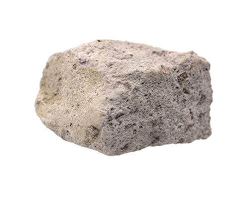 Raw Rhyolite, Igneous Rock Specimen - Approx. 1" - Geologist Selected & Hand Processed - Great for Science Classrooms - Eisco Labs